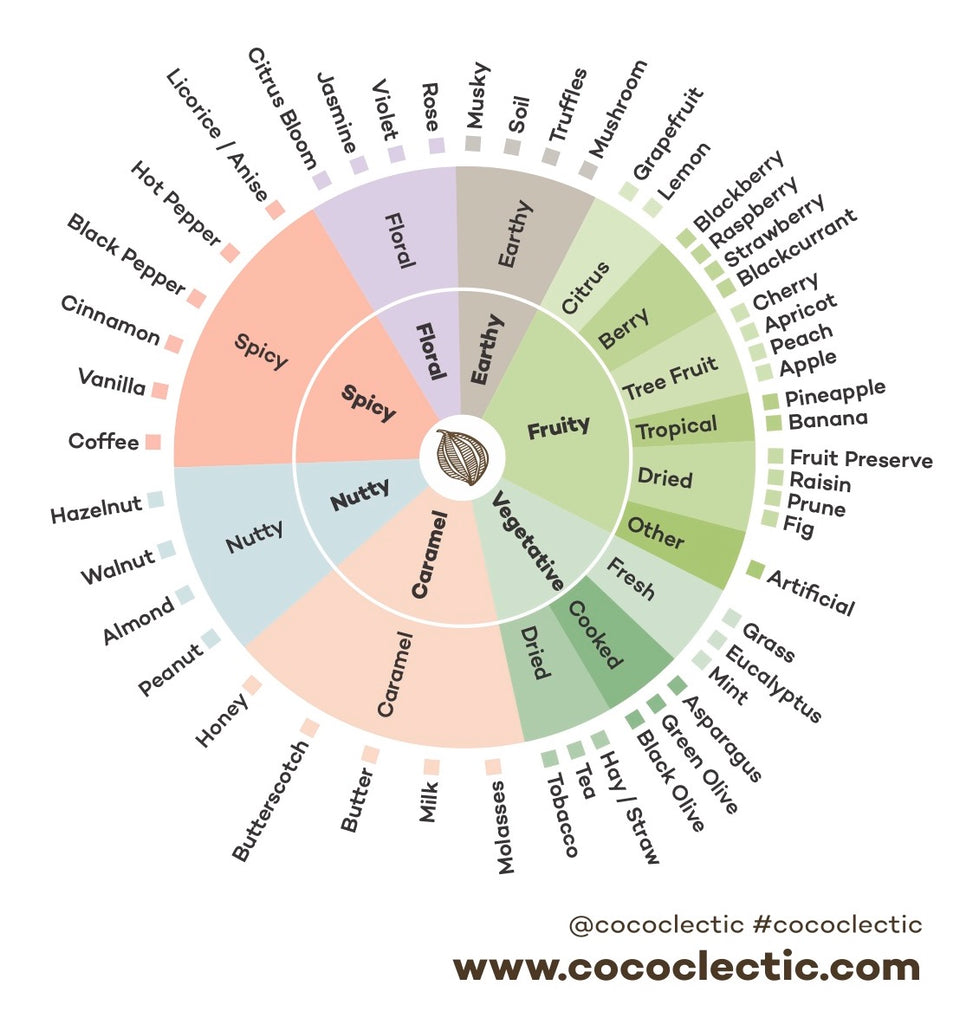 How to Taste Chocolate – Cococlectic: A Craft Bean-to-Bar Club