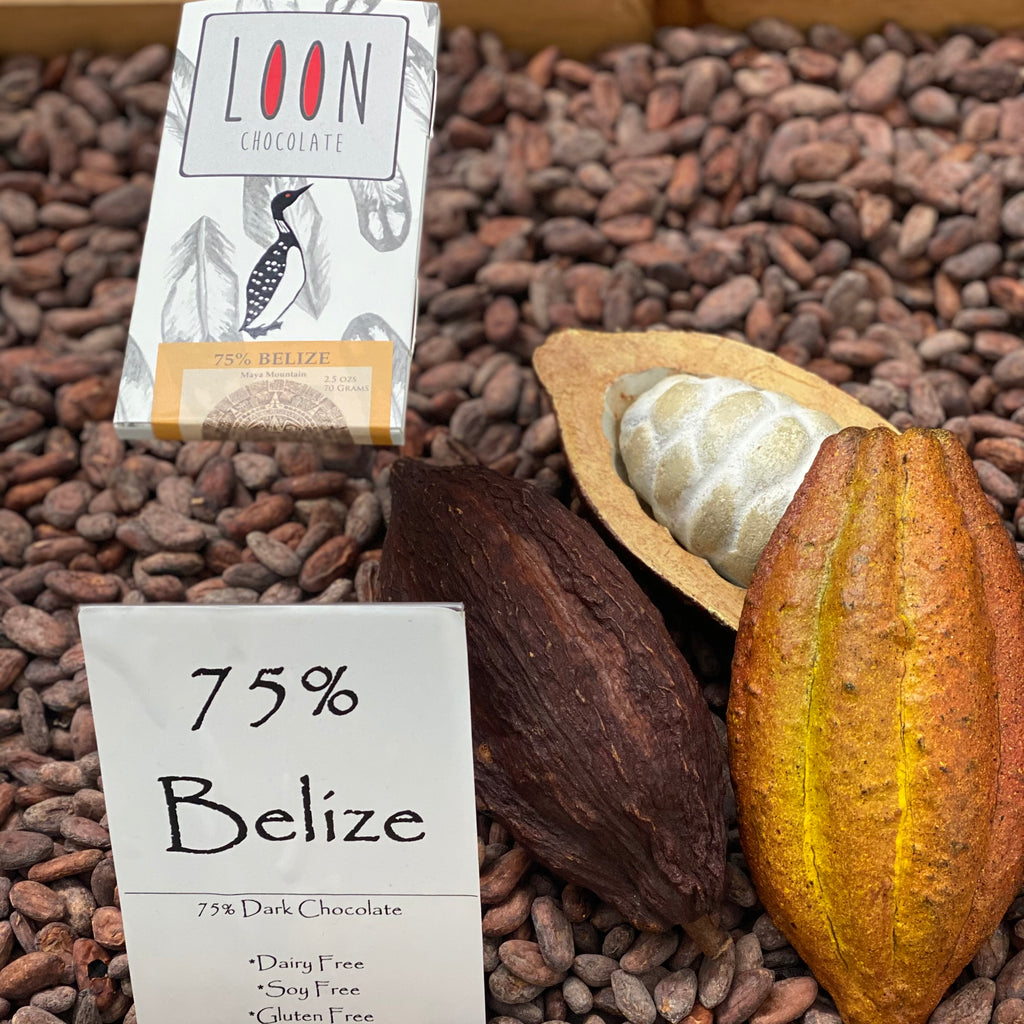 The Story behind Loon Chocolate: Scott Watson tells it all ...